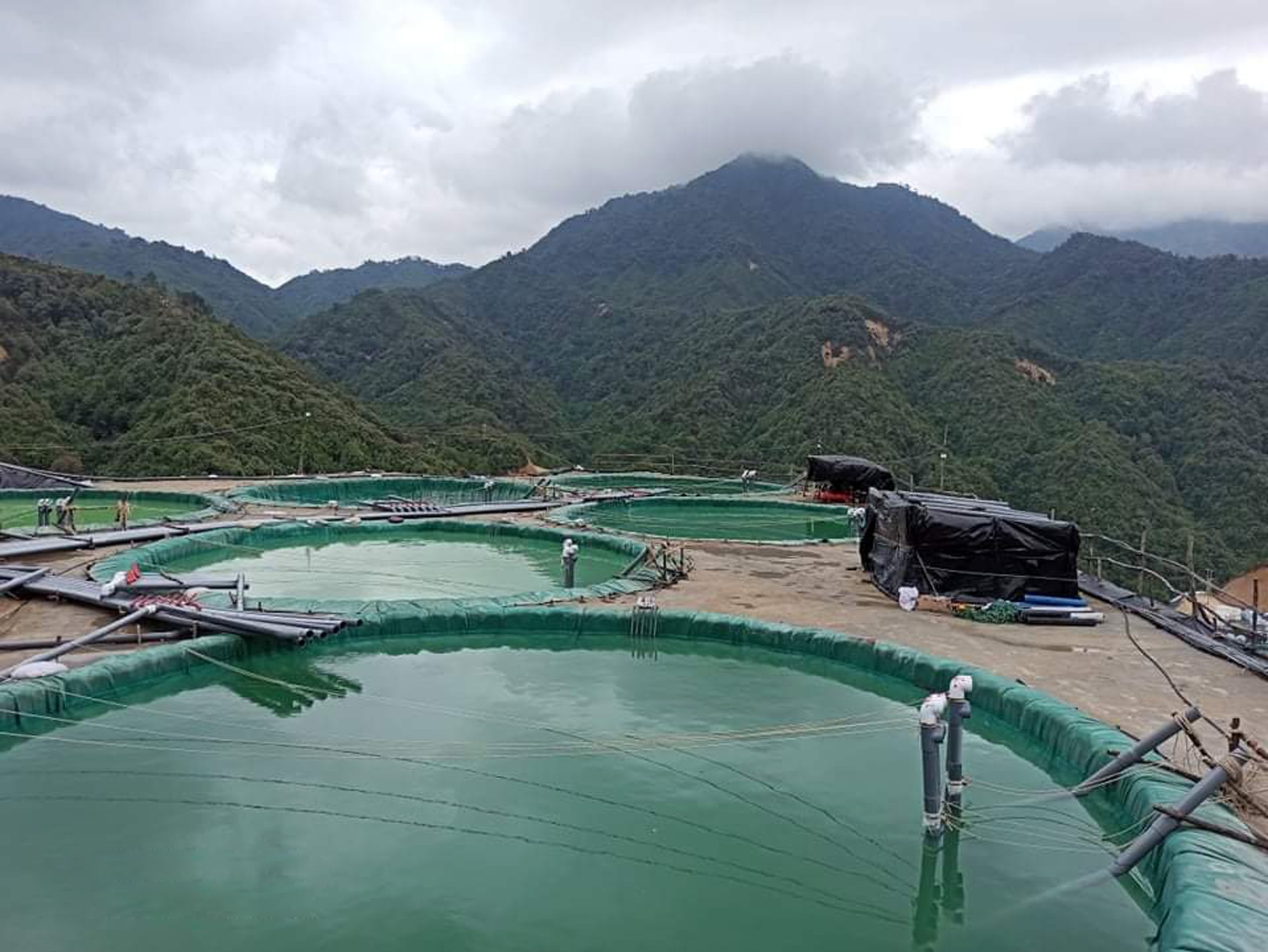 Unearthing the Cost: Rare Earth Mining in Myanmar’s War-Torn Regions ...