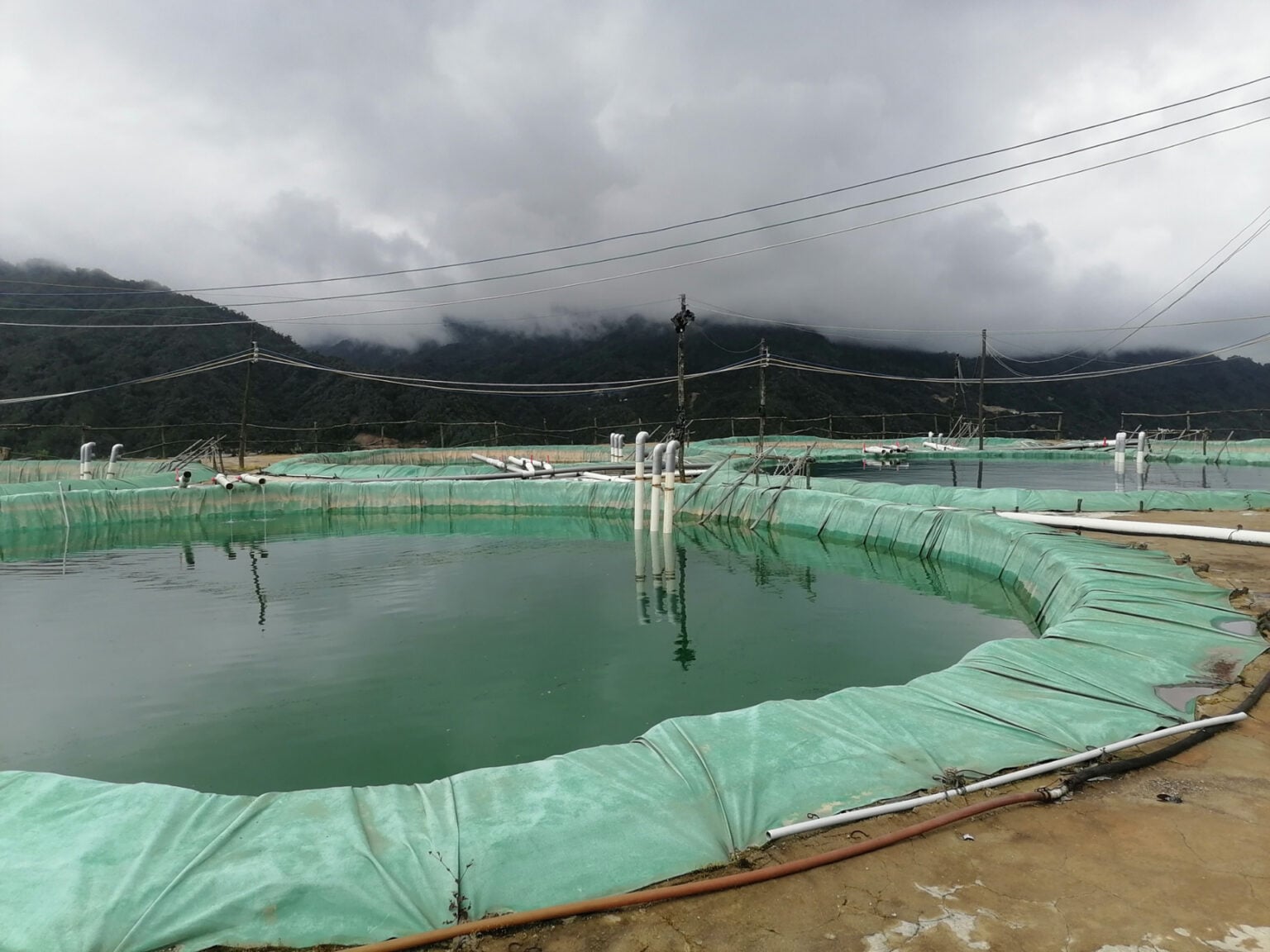 Myanmar’s Critical Minerals Can Empower India with Strategic Heft | ISP-Myanmar